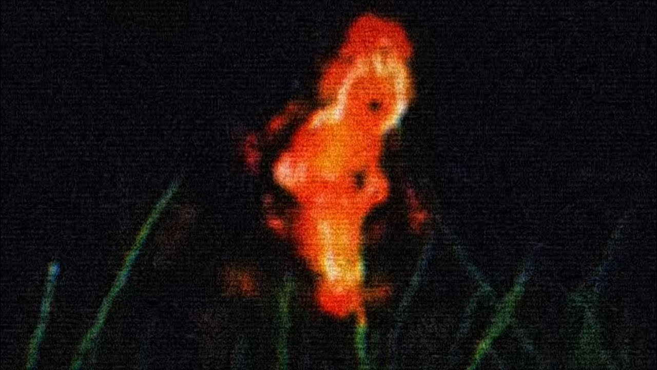 Asset 87 Incident [VHS Jurassic Park] - YouTube