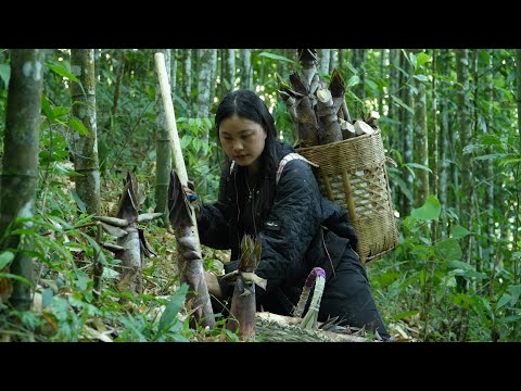 From wild bamboo shoots: May creates dishes with rich, rustic flavors.