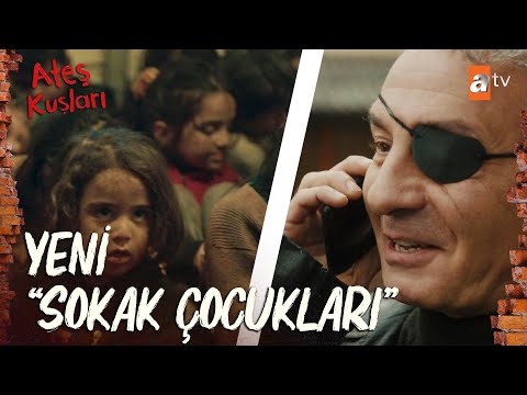 Çatal, Suriye'den kimsesiz çocukları getirtiyor! - Ateş Kuşları 2. Bölüm