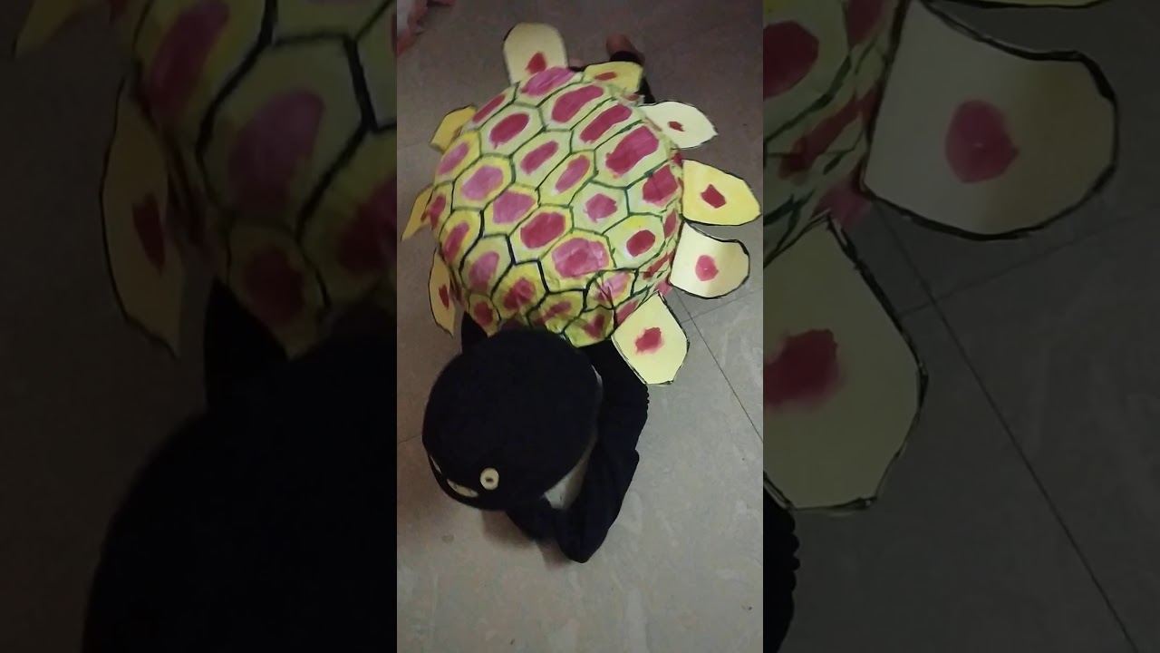 Fancy dress | Fancy dress competition | Tortoise - YouTube