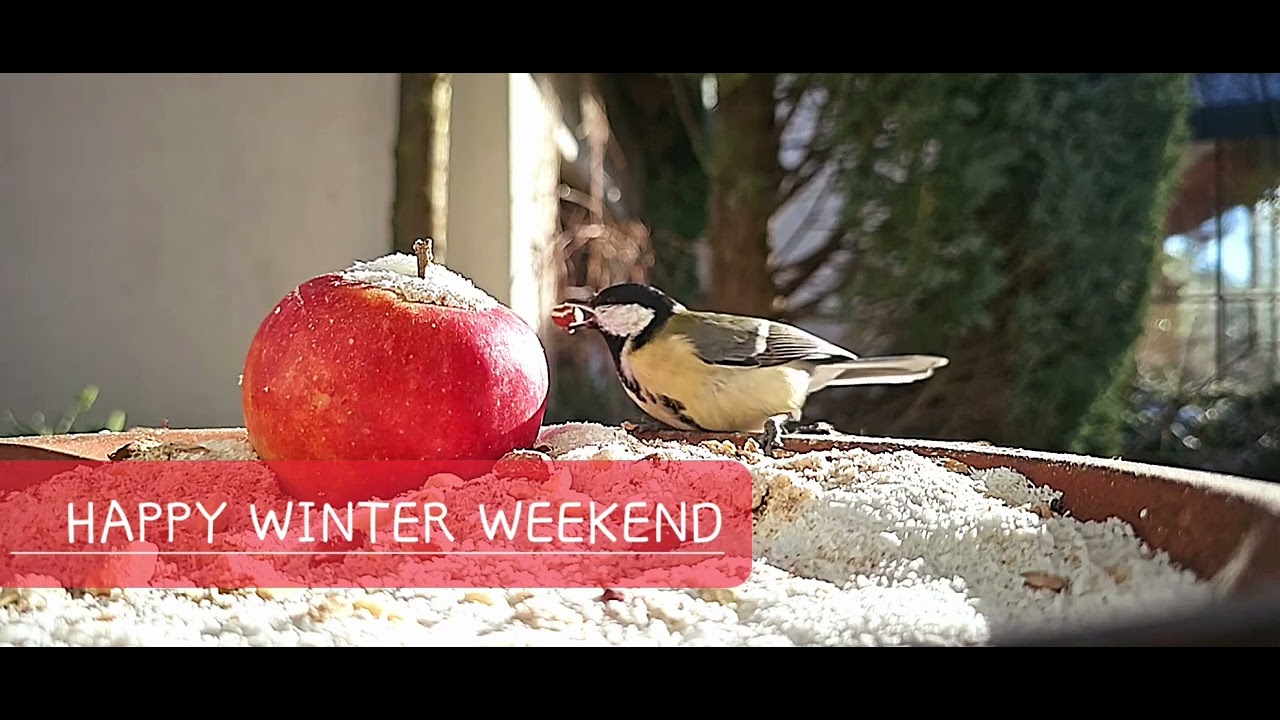 HAPPY WINTER WEEKEND - YouTube