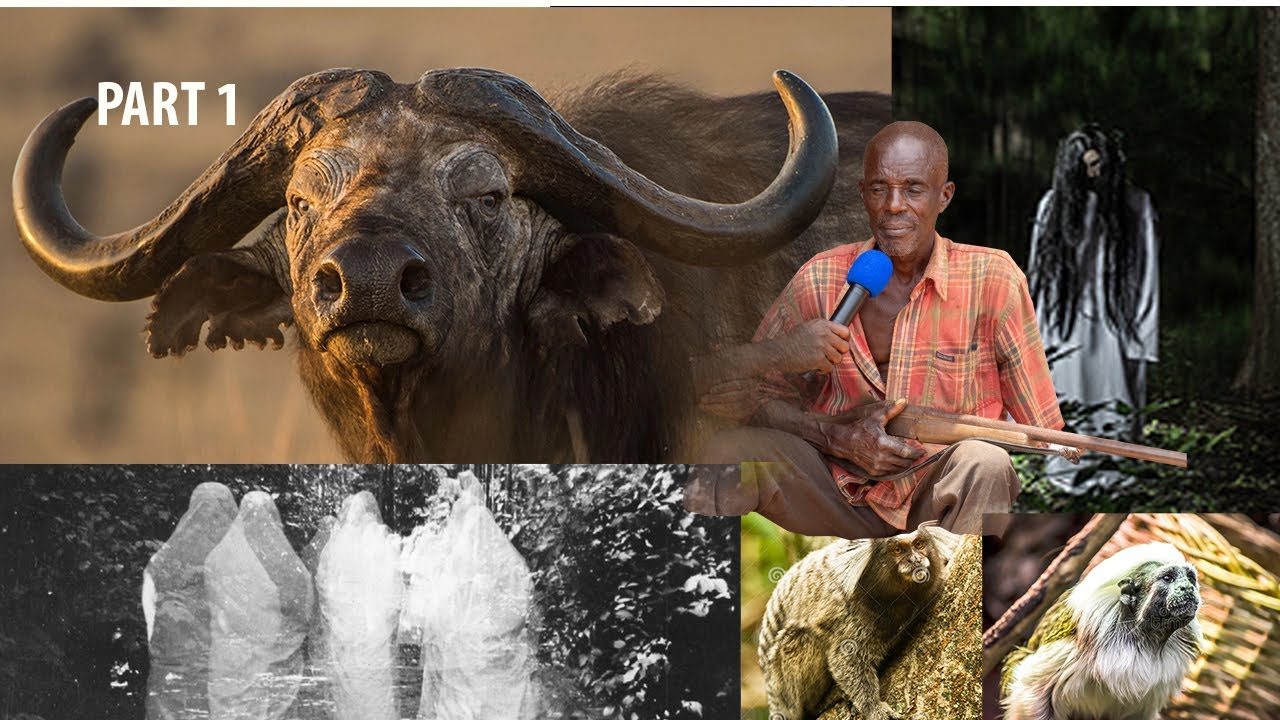 I lost my left hand in hunting, A Hunter reveals sĉäry secrets he ...