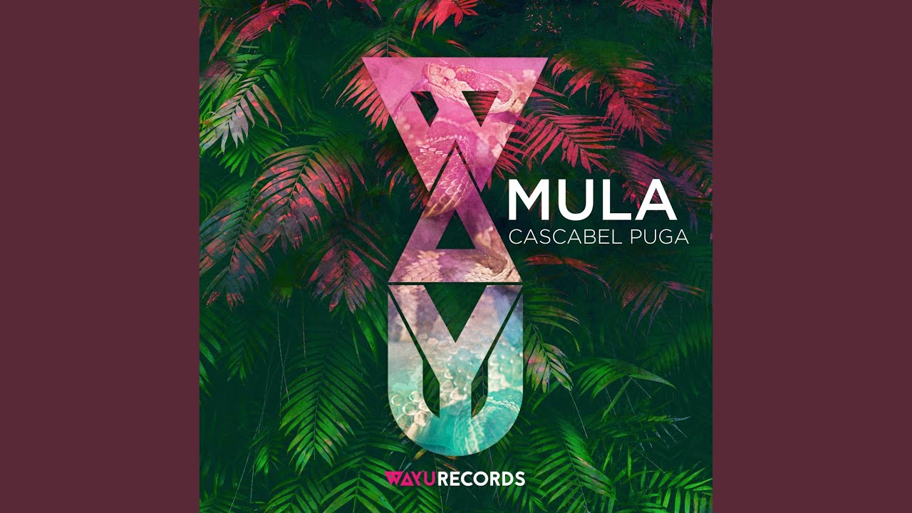 Cascabel Puga (Kaöb Remix) - YouTube Music