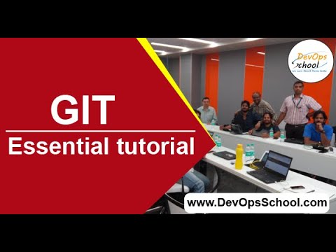Git Fundamental Tutorials with Basic Demo by Raman in 2020
