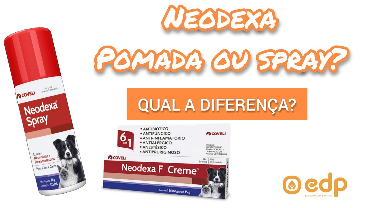 #58 -1 | NEODEXA POMADA OU SPRAY? - CICATRIZANTE PARA CÃES, GATOS E ...