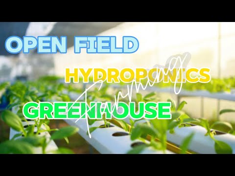 Choosing between Open field, Hydroponics and Greenhouse farming - YouTube