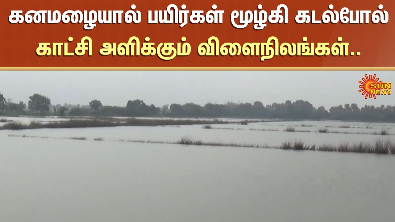 Continuous heavy rains | Delta districts | 2,000 acres of paddy fields ...