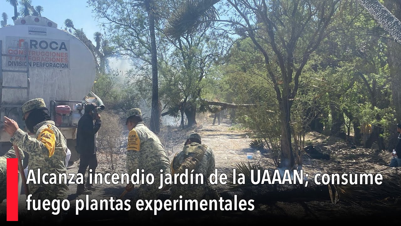 Alcanza incendio jardín de la UAAAN; consume fuego plantas ...