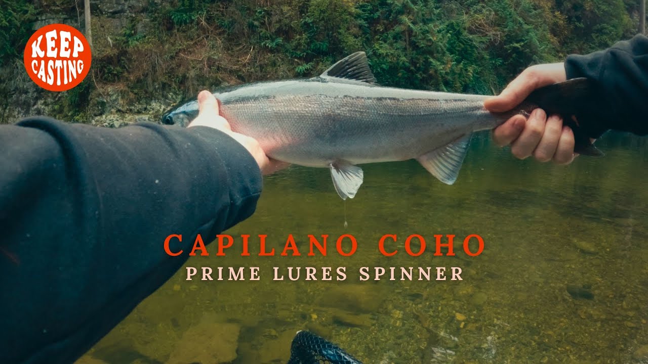 My First Capilano Coho | Prime Lures #3 Spinner | North Vancouver, BC ...