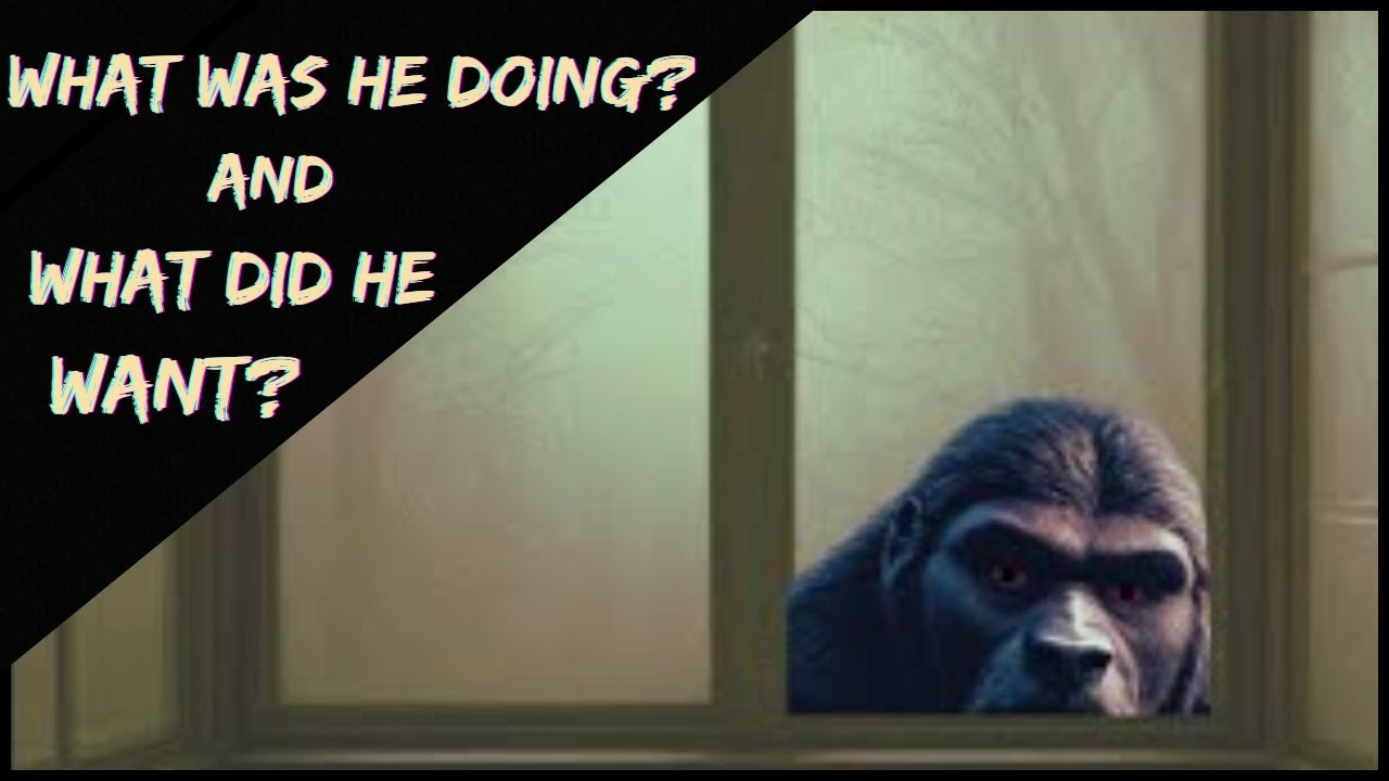 Two More Unexpected Bigfoot Sightings - YouTube