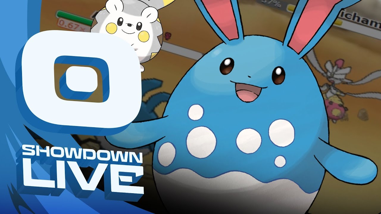 "Z-BELLY DRUM AZUMARILL!" Pokemon Ultra Sun & Moon! OU Showdown Live w ...