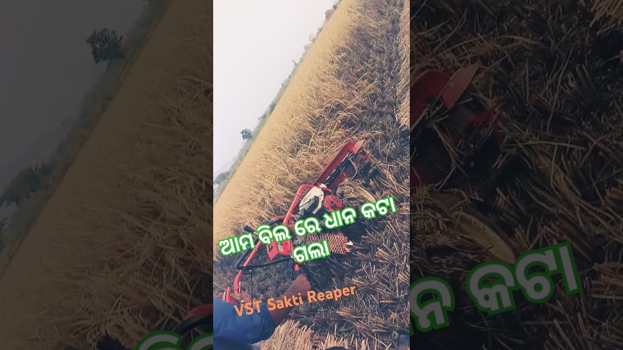 Dhan katai karne ki machine #vstshakti130dipowertiller #farming - YouTube