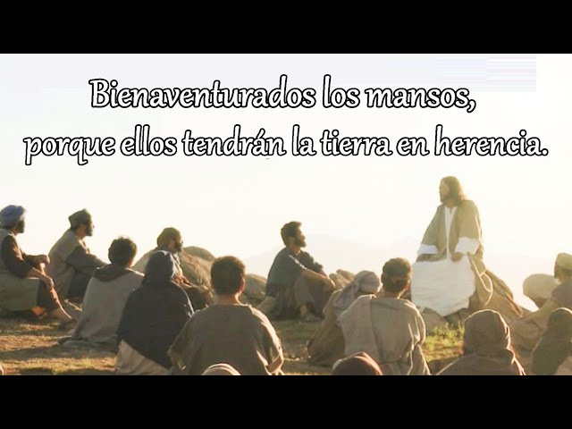 Bienaventurados Los Mansos Bienaventurados Los Que Padecen