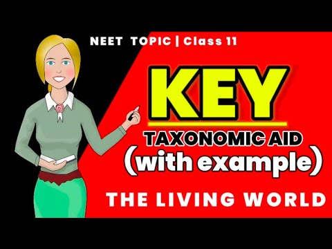 Key - Taxonomic aid | biology Class 11 notes | NEET - YouTube