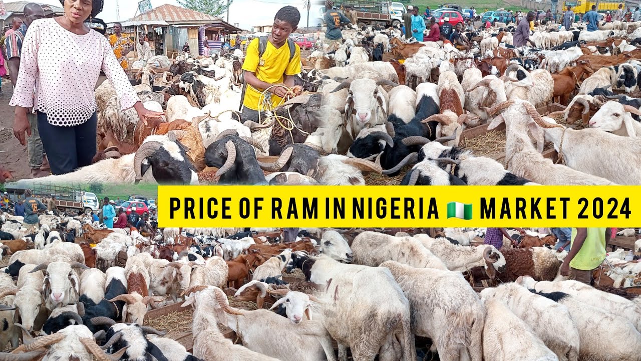 Price of Ram In Nigeria 🇳🇬 Market 2024 || Ileya Festival 2024 - YouTube
