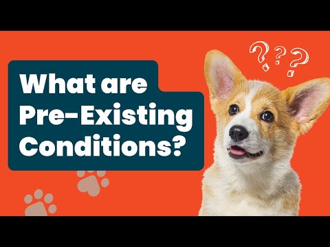 Does Pet Insurance Have Pre Existing Conditions