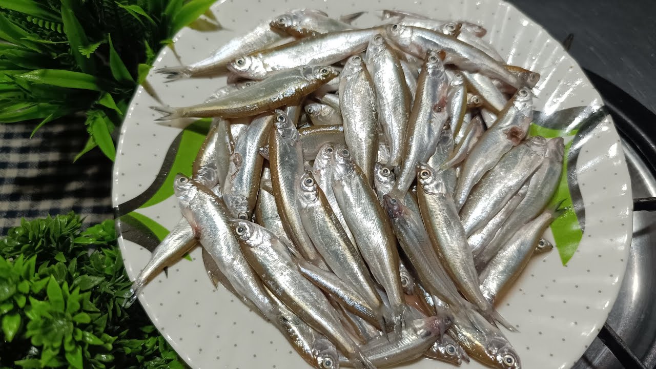 গঙ্গার চেলা মাছ।। Ganga River Fish - YouTube