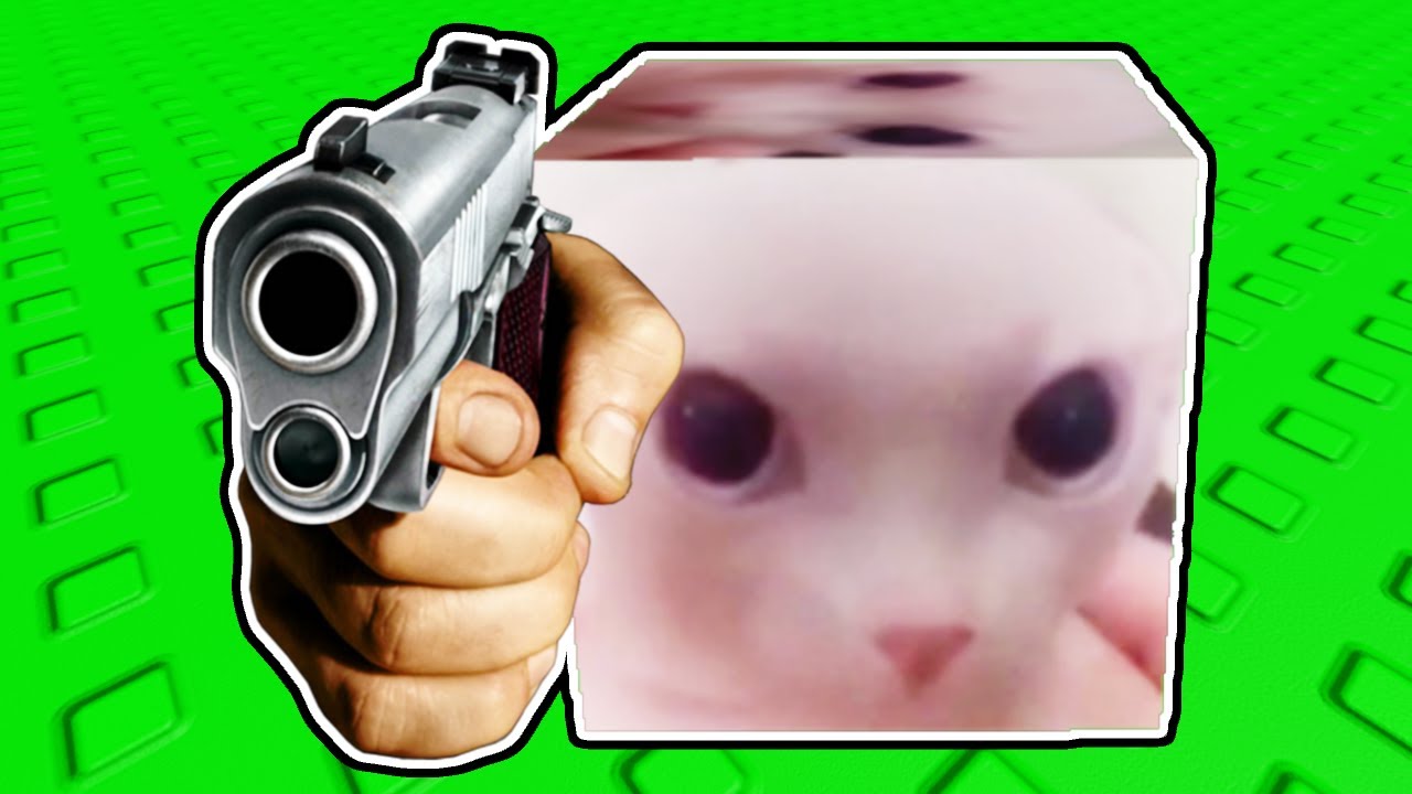 ROBLOX RAISE A BINGUS... - YouTube