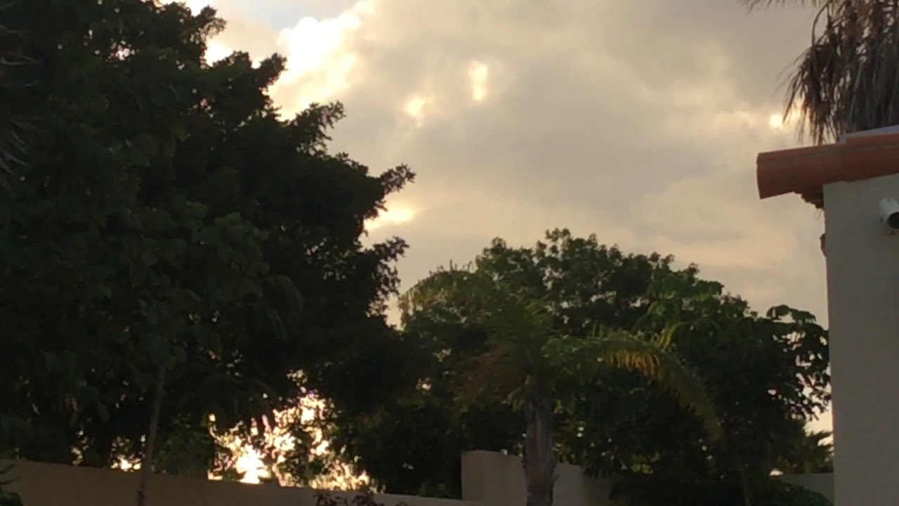 RARE Yellow Tui arriving at Tenerife - YouTube