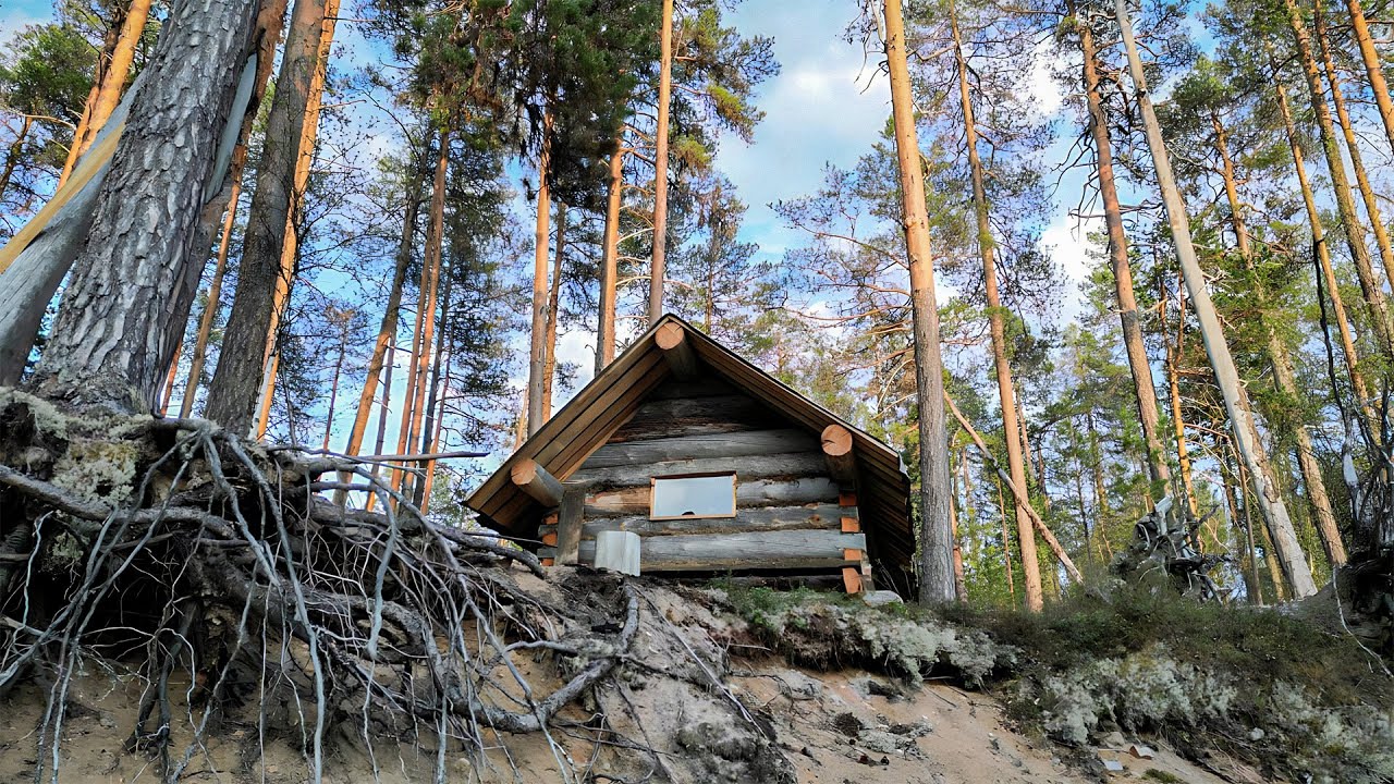 Log Cabin Building Built By ONE MAN Alone In The Wild Forest - YouTube