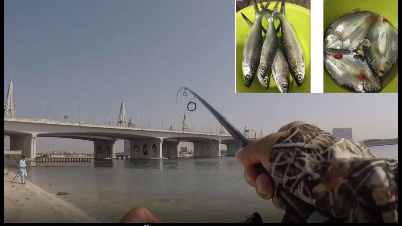 Catching MilkFish or Bangus @ UAE - YouTube