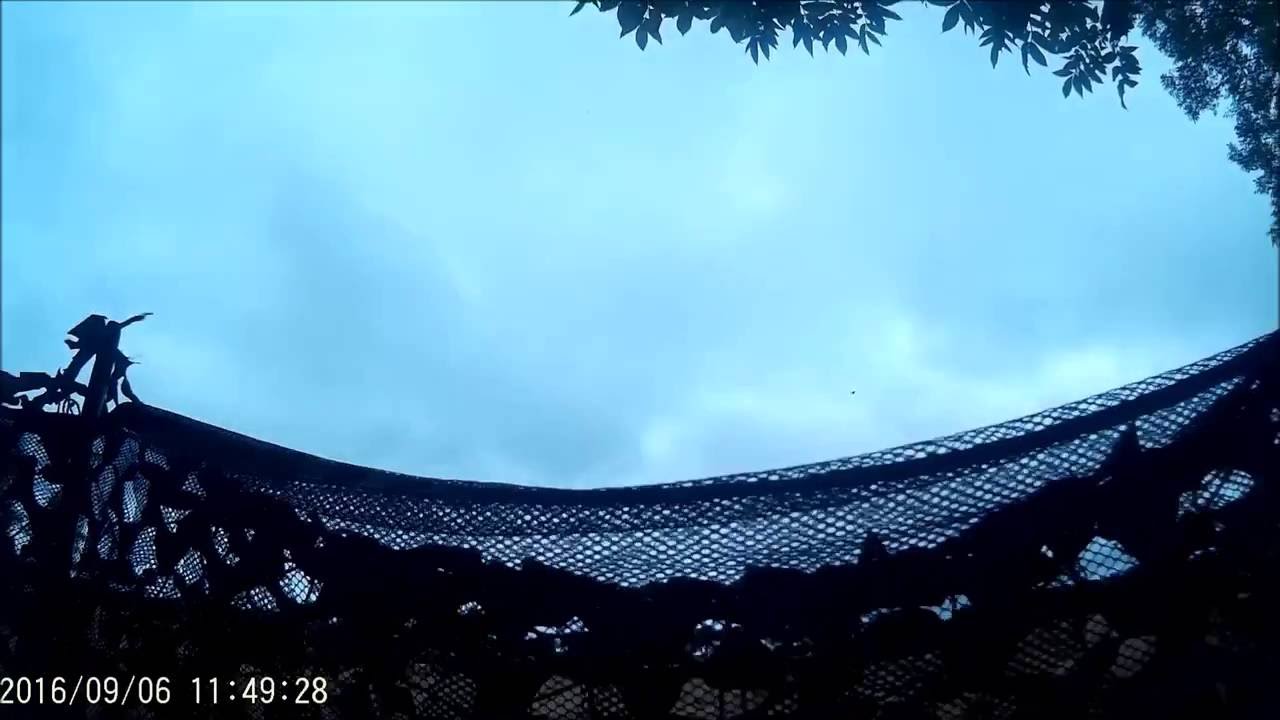 Crow shooting 6th September 2016 - YouTube