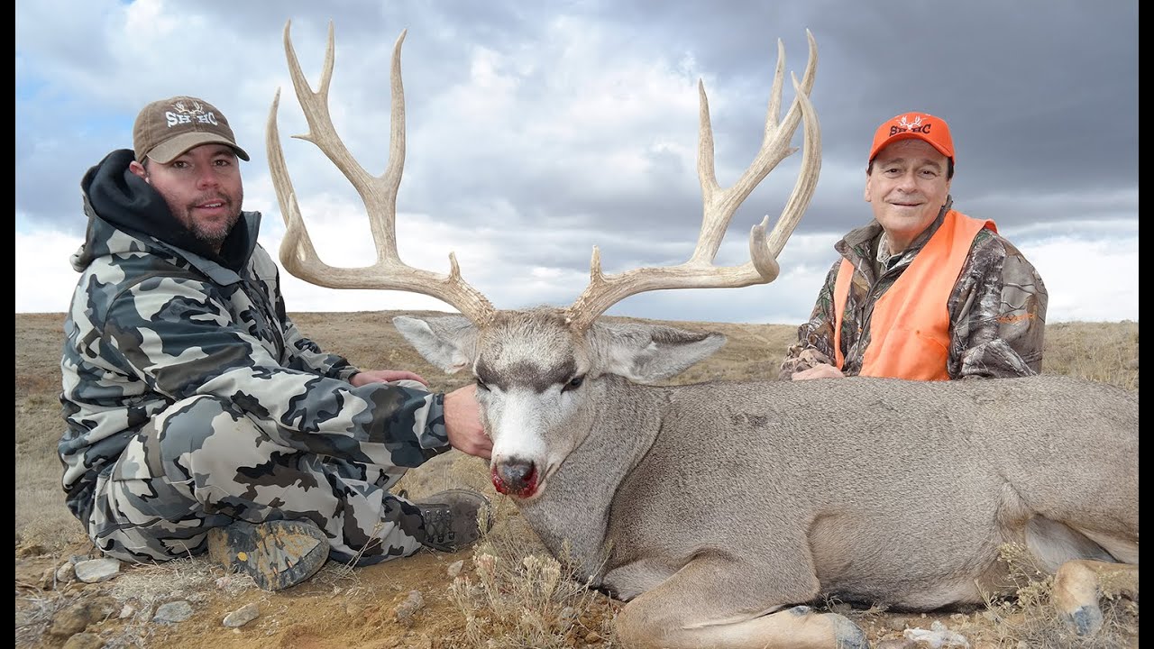 The Governor An Eastern Colorado 212 Giant Mule Deer Buck YouTube the-governor-an-eastern-colorado-212-giant-mule-deer-buck-youtube