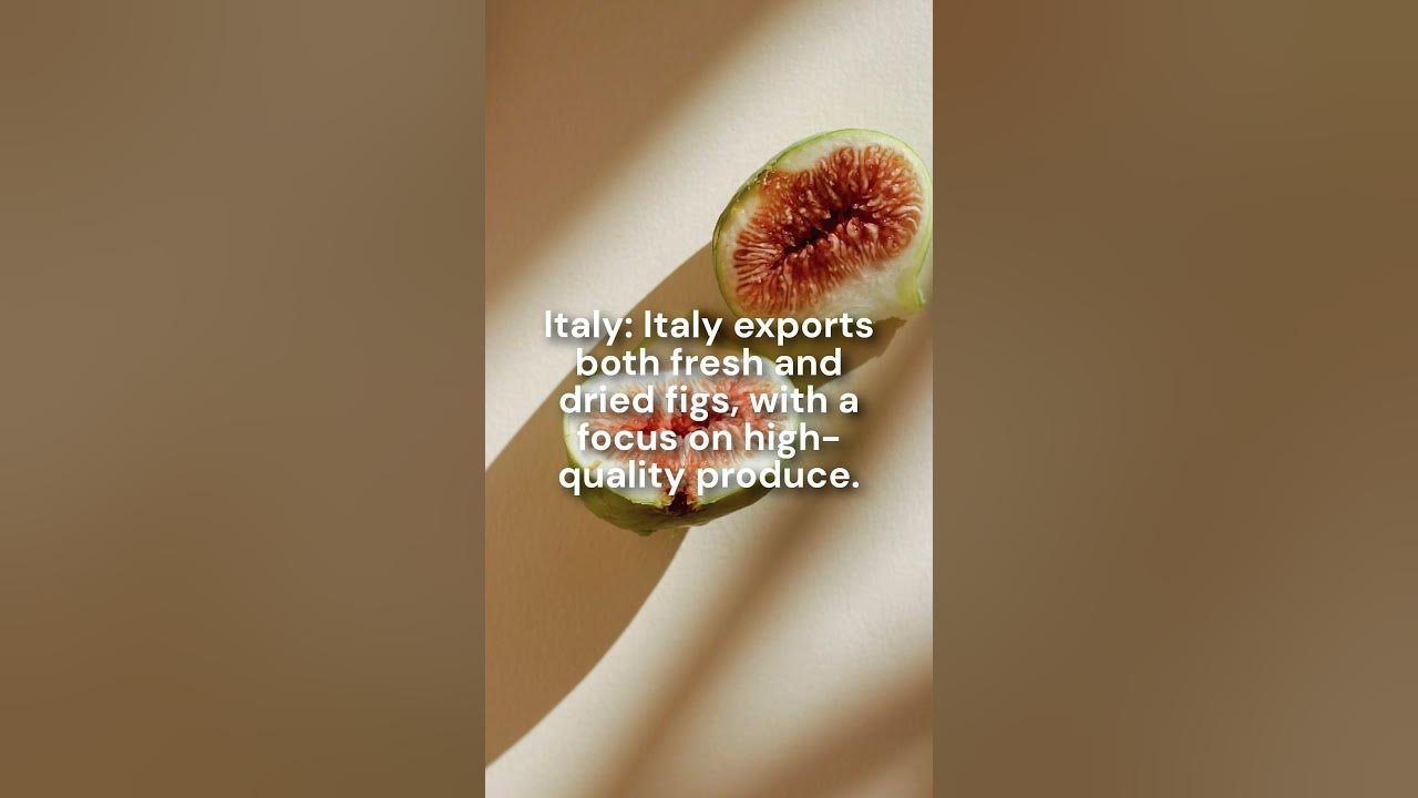 Top 10 Countries Exporting Fig #top #top10 #fig #export #exportimport #fruitexport #knowledge # ...
