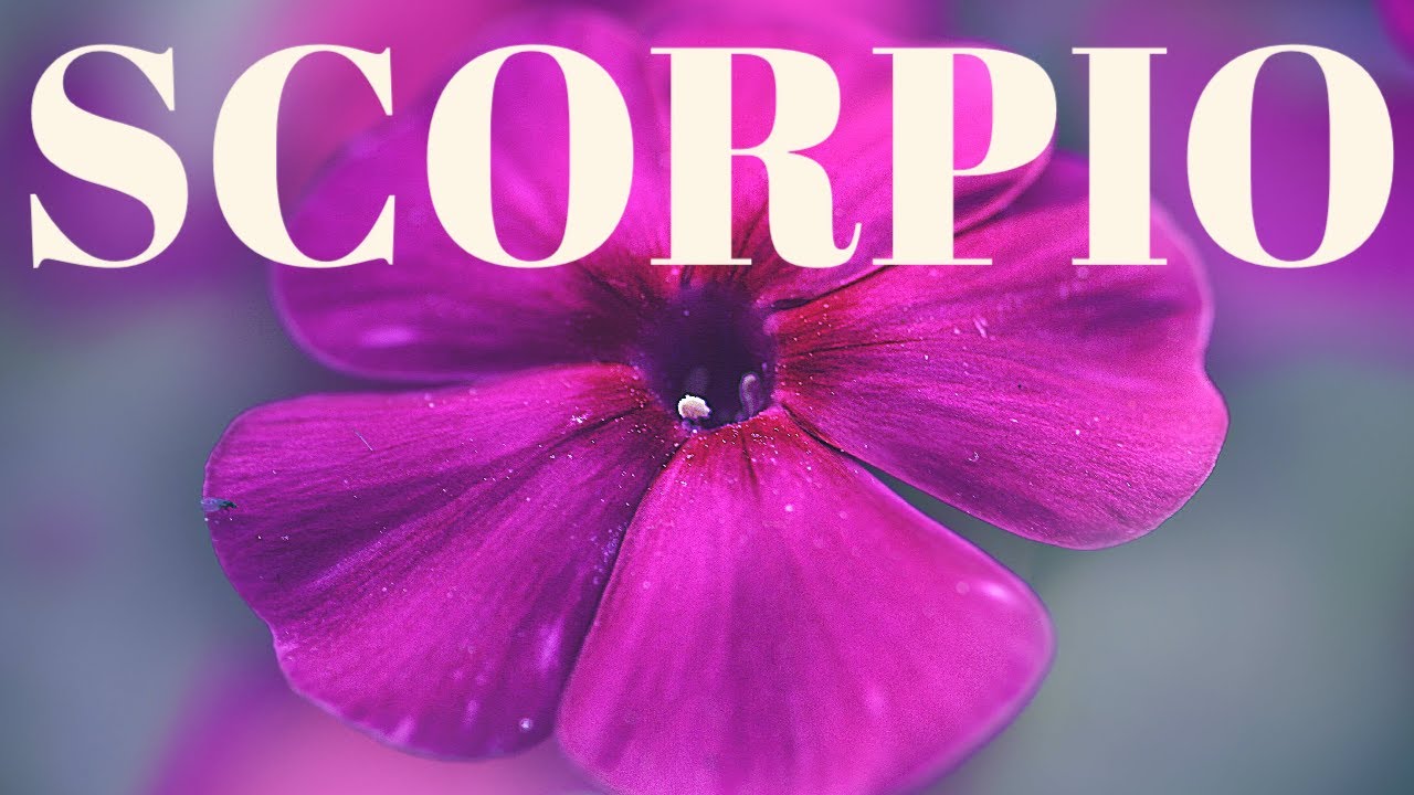 SCORPIO, A MESSAGE FROM YOUR GUARDIAN ANGEL! FEBRUARY 2024 - YouTube