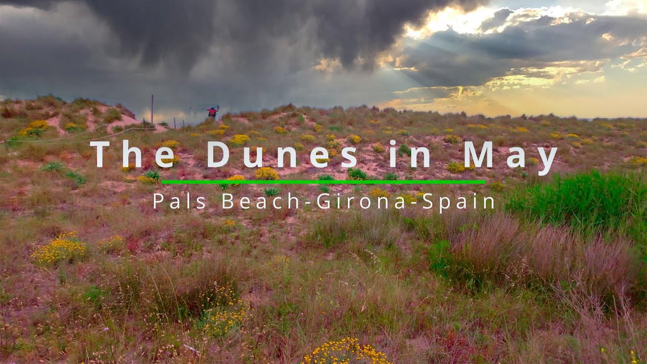 Platja de Pals (Pals Beach) Pals - Girona - Spain. - YouTube
