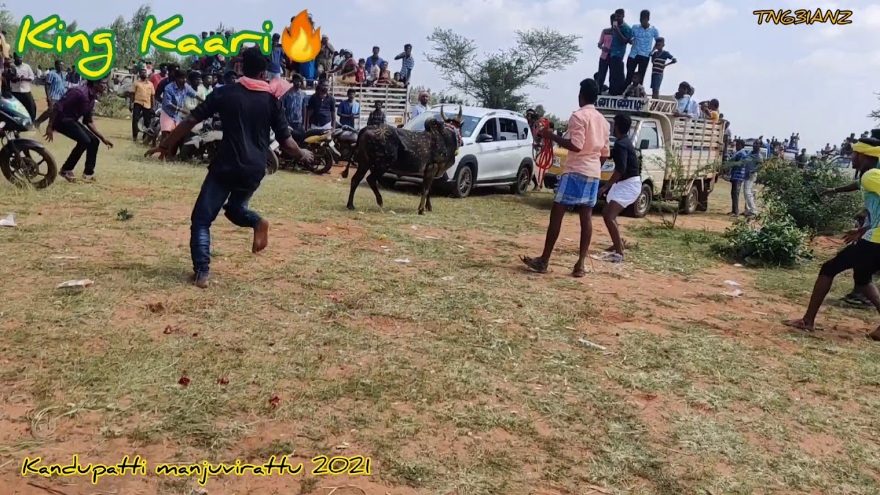 King Kaari🔥🔥 Kandupatti manjuvirattu 2021 mudhal kalam verithanamana ...