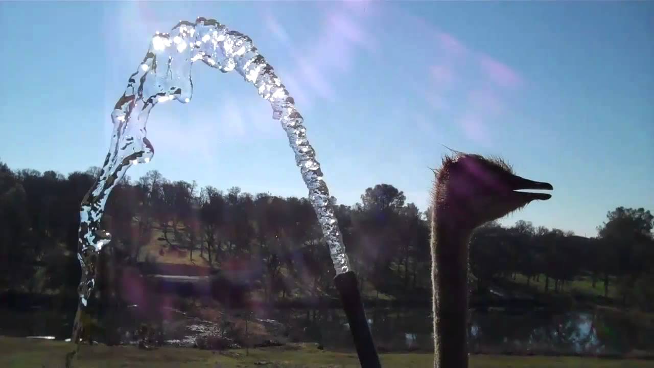 Hey Hoser! - YouTube