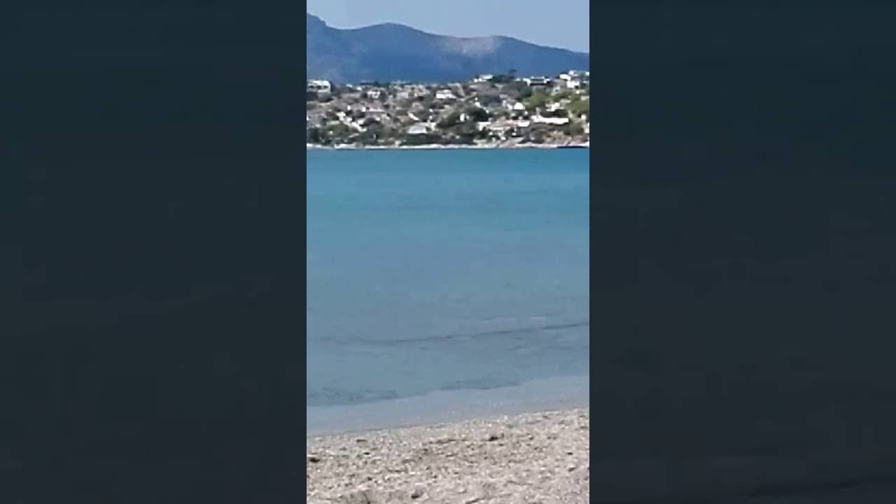 ΒΑΣΙΛΙΚΑ ΣΑΛΑΜΙΝΑΣ : ΣΚΑΦΟΣ ΨΑΡΕΥΕΙ ΠΑΡΑΝΟΜΑ ΔΙΠΛΑ ΣΕ ΚΟΛΥΜΒΗΤΕΣ ΜΕΡΑ ...