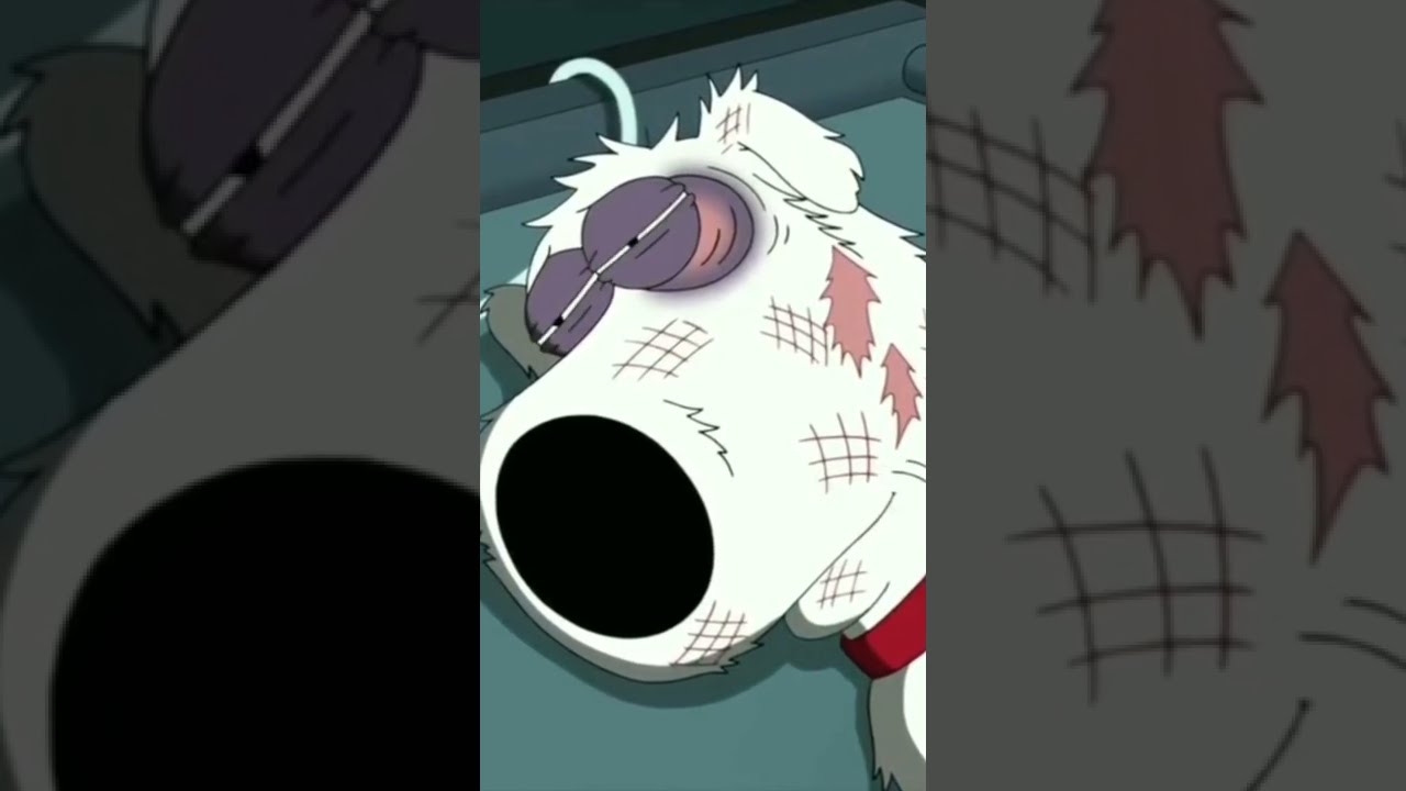 "FAMILY GUY" - BRIAN DIED - YouTube