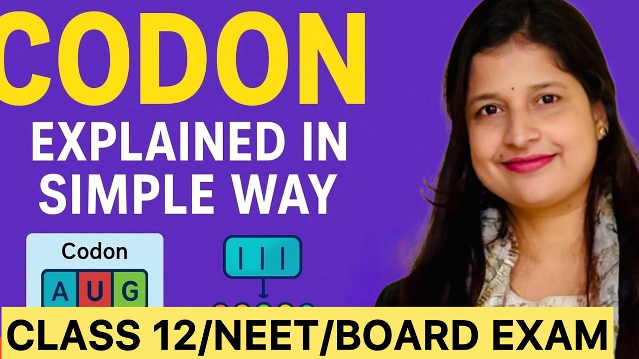Codon Explained in Simple Way | Class 12 Biology | Board + NEET 2025 ...