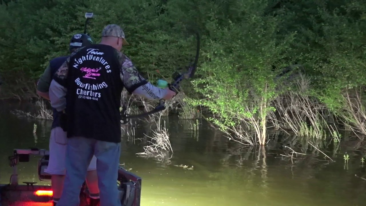 Fur Life TV 2018 - Episode 7 - Bowfishing the Susquehanna - YouTube