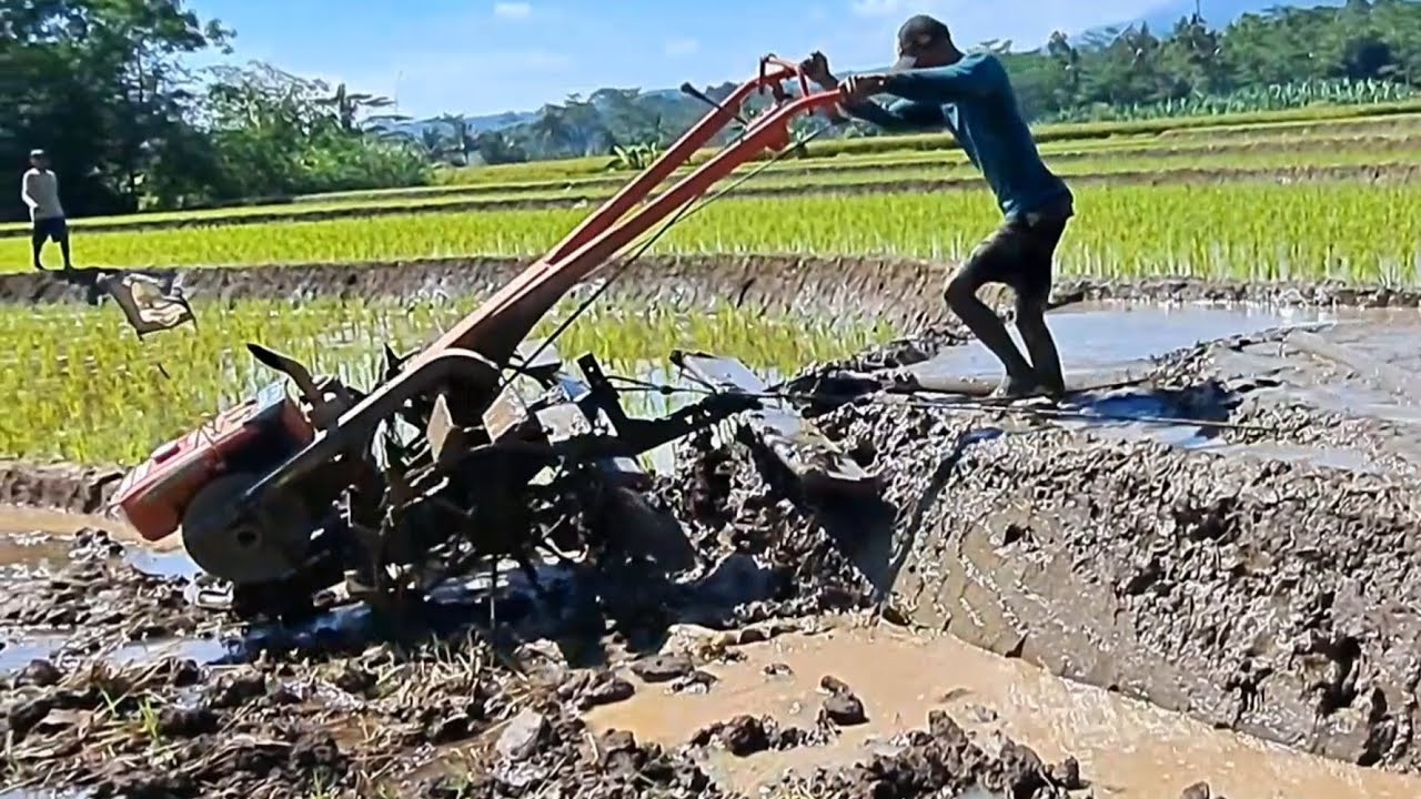 Semangat pagi !!! Dua operator traktor bergantian meratakan tanah ...