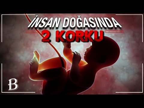 İnsan Doğasında Sadece 2 Korku mu Var?