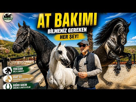 AT BAKIMI: Bilmeniz Gereken HER ŞEY! (Başlangıçtan Uzmanlığa)