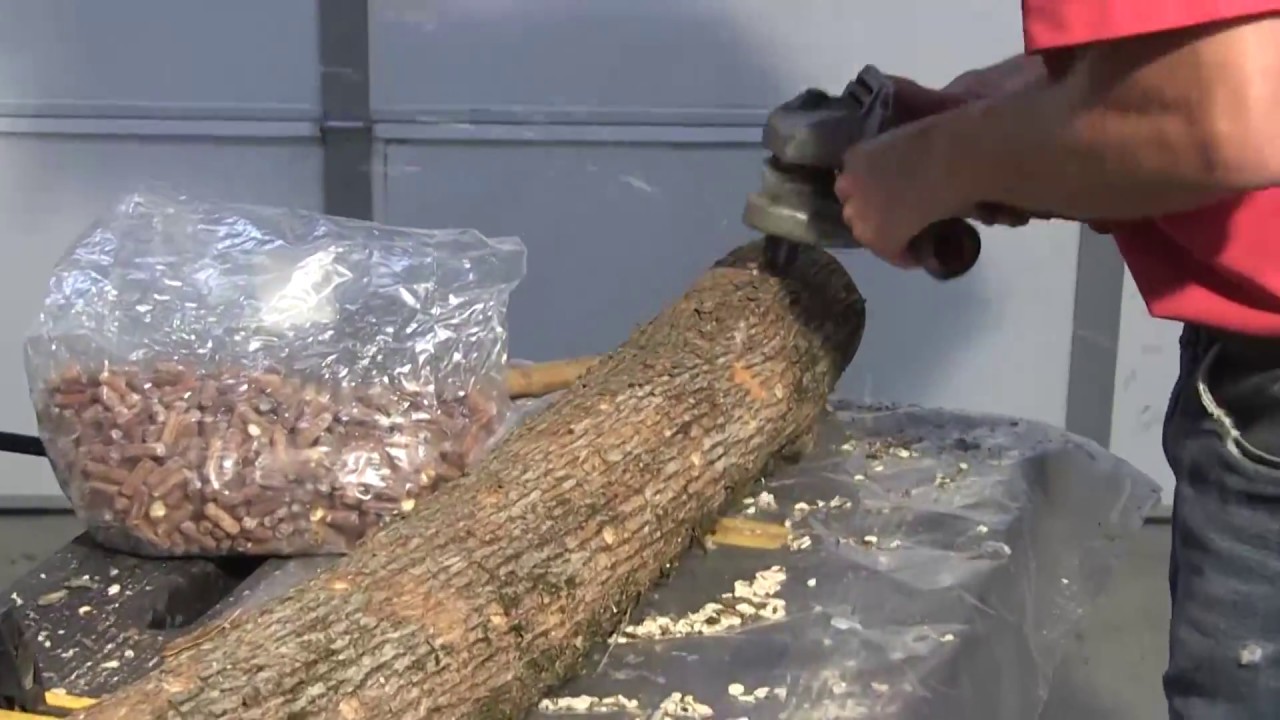 Mushroom Inoculation Series 1 - YouTube