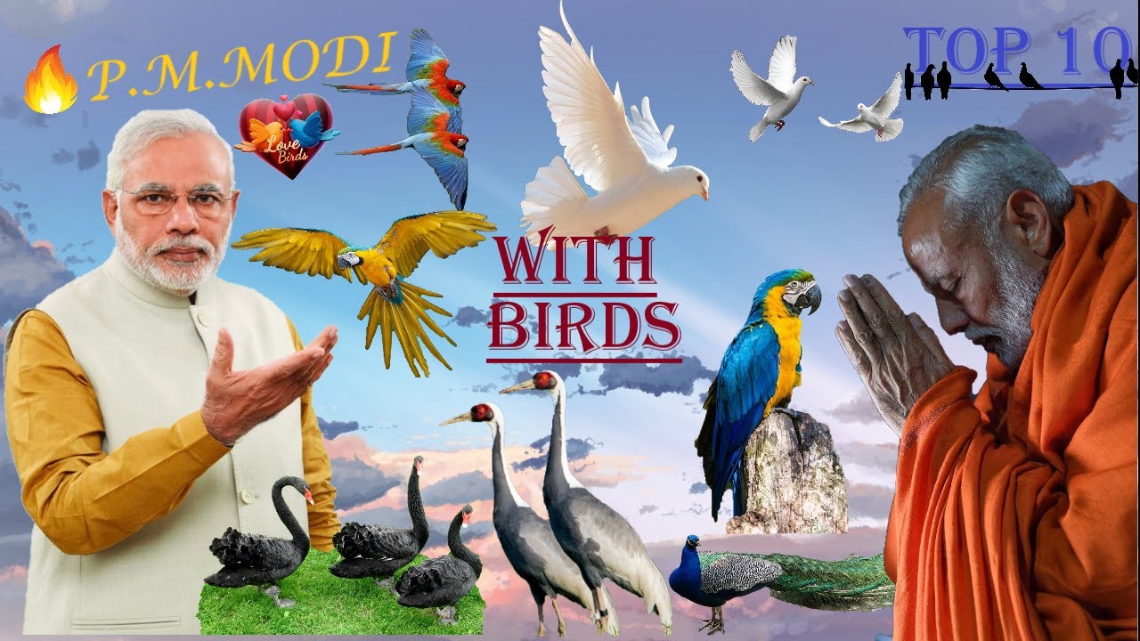 Top 10 PM Modi with Birds #narendramodi #trending #pets #pmmodi #birds ...