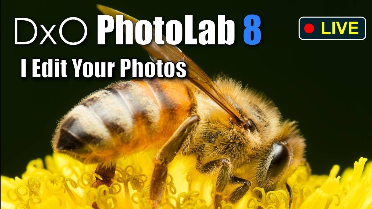 Photo Editing Live with DxO Photolab 8: Send me your photos - Link ...