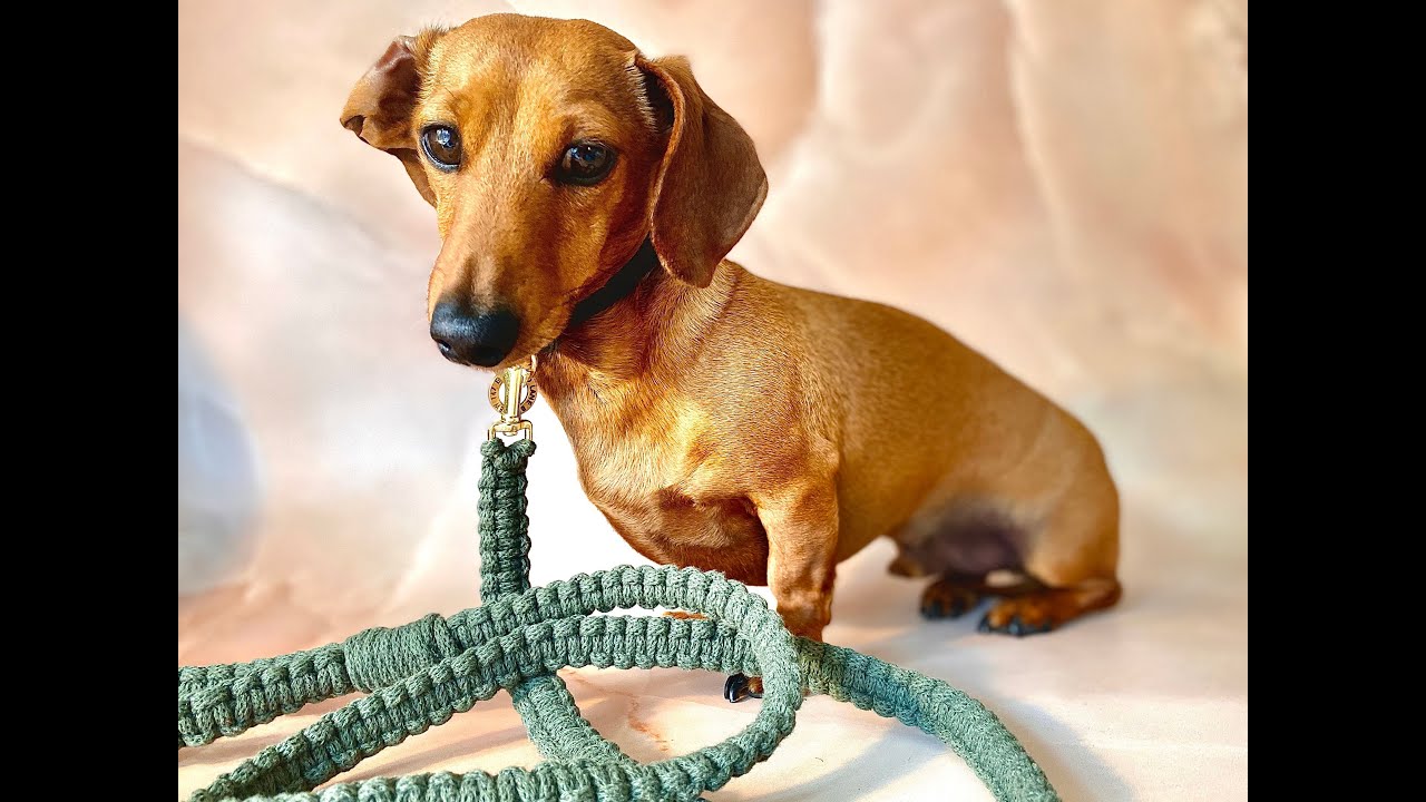 Macramé Dog Lead Video Tutorial - YouTube
