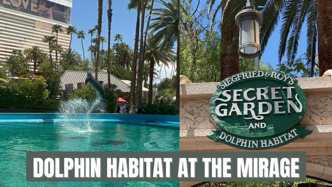 Secret Garden Dolphin Habitat Show - Mirage Hotel & Casino | Las Vegas ...