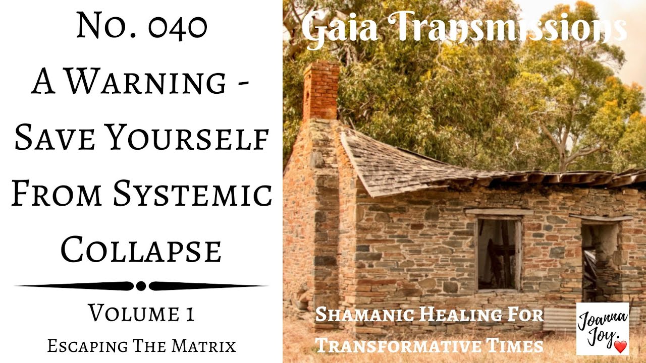 No. 040 - A Warning - Save Yourself From Systemic Collapse (SHAMANIC ...