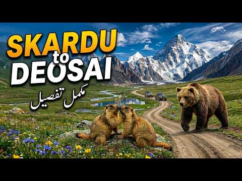 Skardu to Deosai 🇵🇰 | Complete 2026 Travel Guide & Cost | Skardu Deosai Road