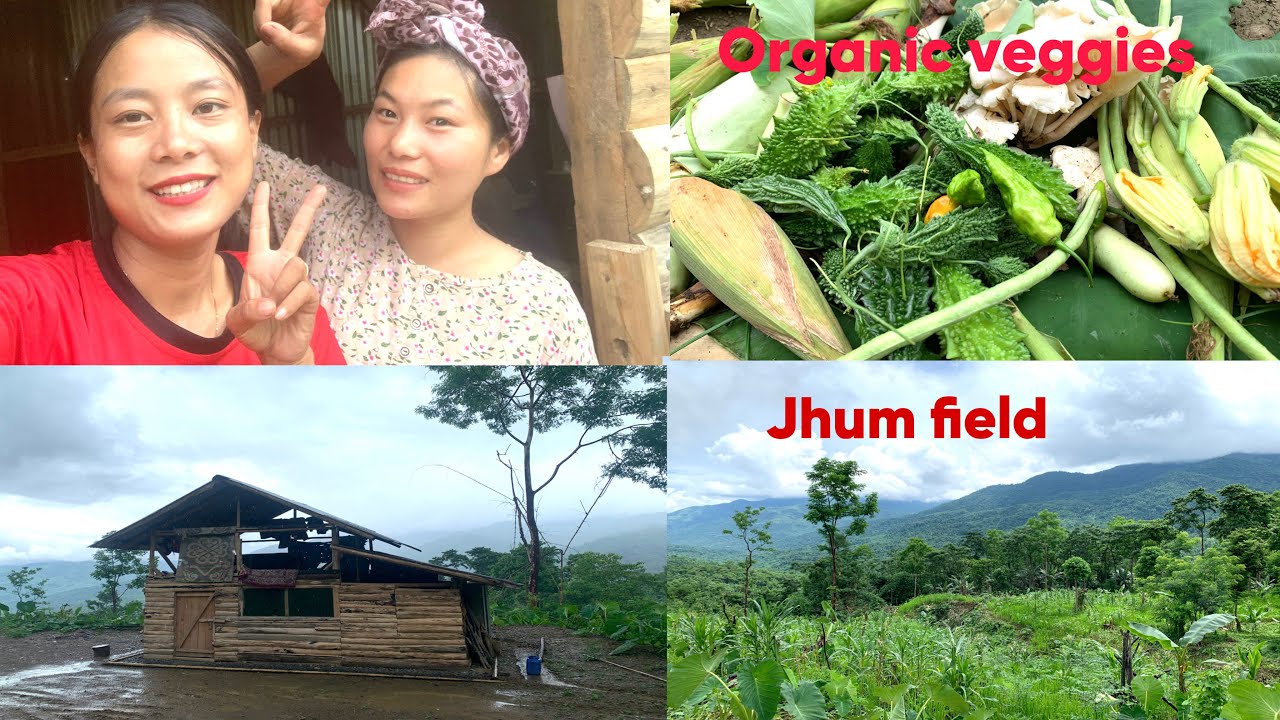 Farm life with sini mah ||Harvesting organic vegetables and cooking at ...