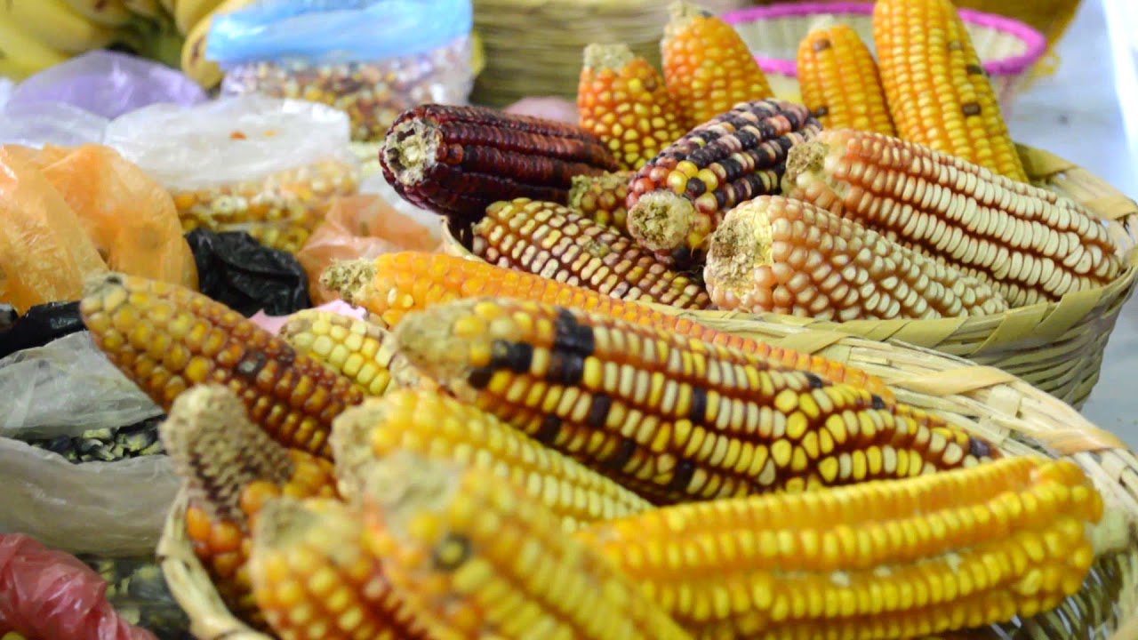 DECRETO 13 2014 LEY DEL MAIZ - YouTube