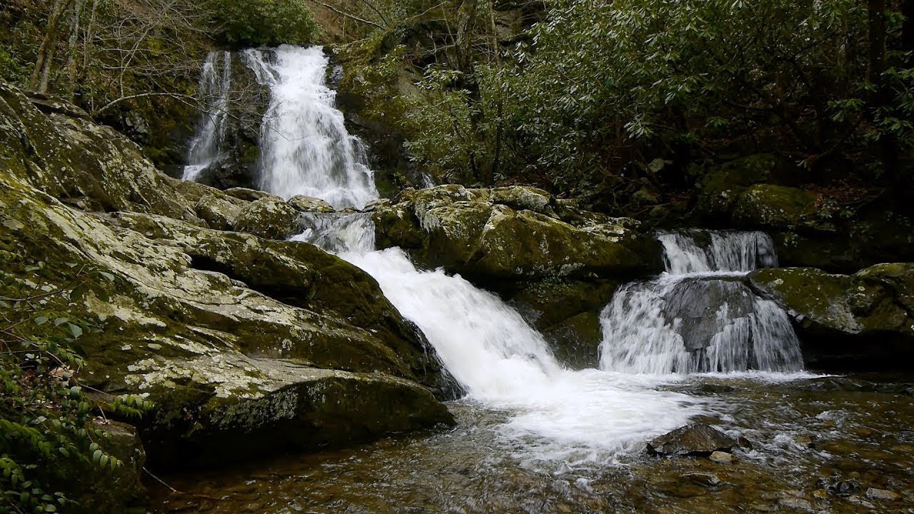 An Early Spring Hike, Great Smoky Mountains National Park - YouTube