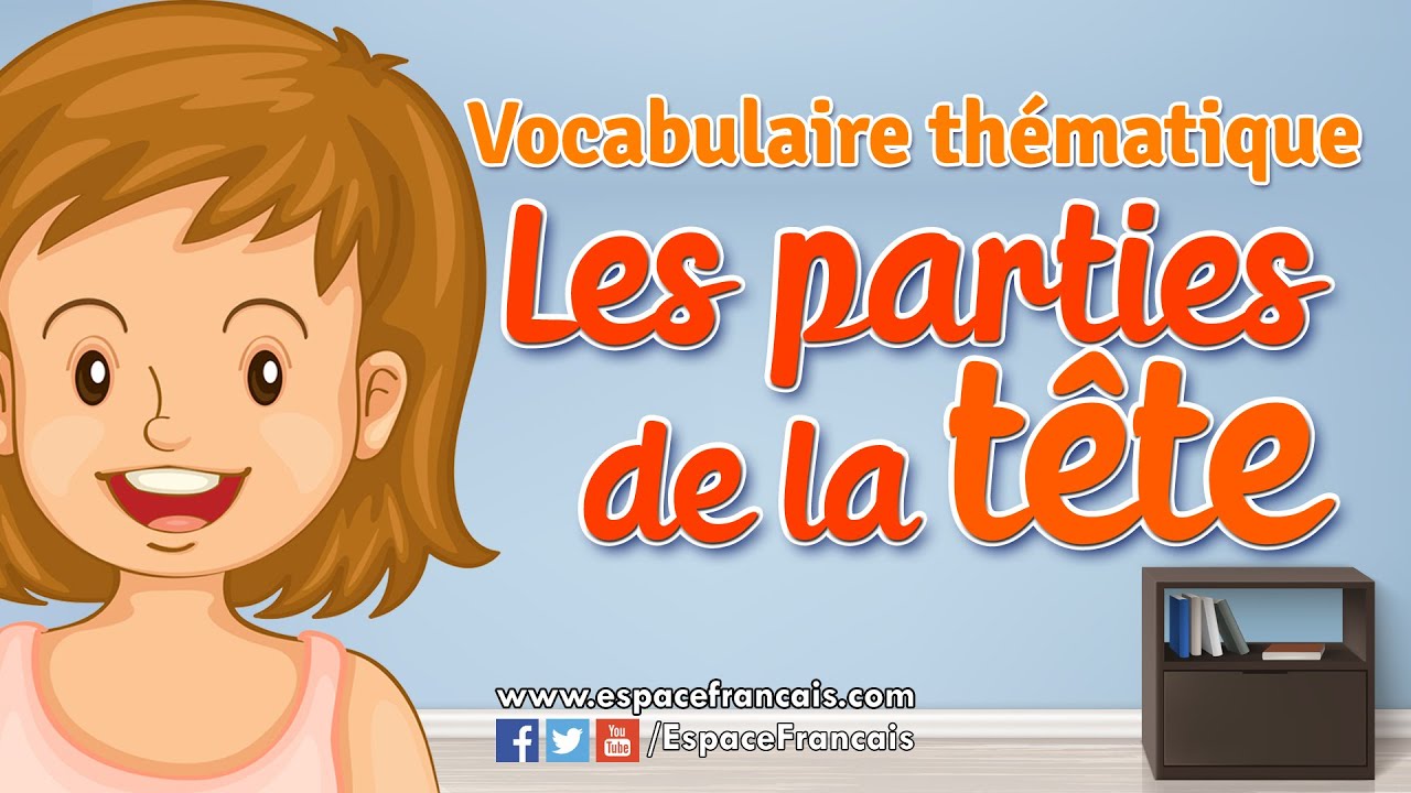 Les Parties De La T te Parts Of The Head In French les-parties-de-la-t-te-parts-of-the-head-in-french